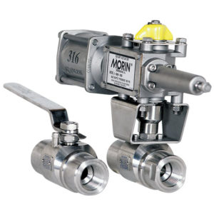 KTM Series EB548/EB545 Floating Ball Valve - Products | Keystone